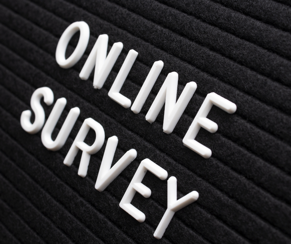 Business and consumer surveys: a new approach to gathering evidence for ...